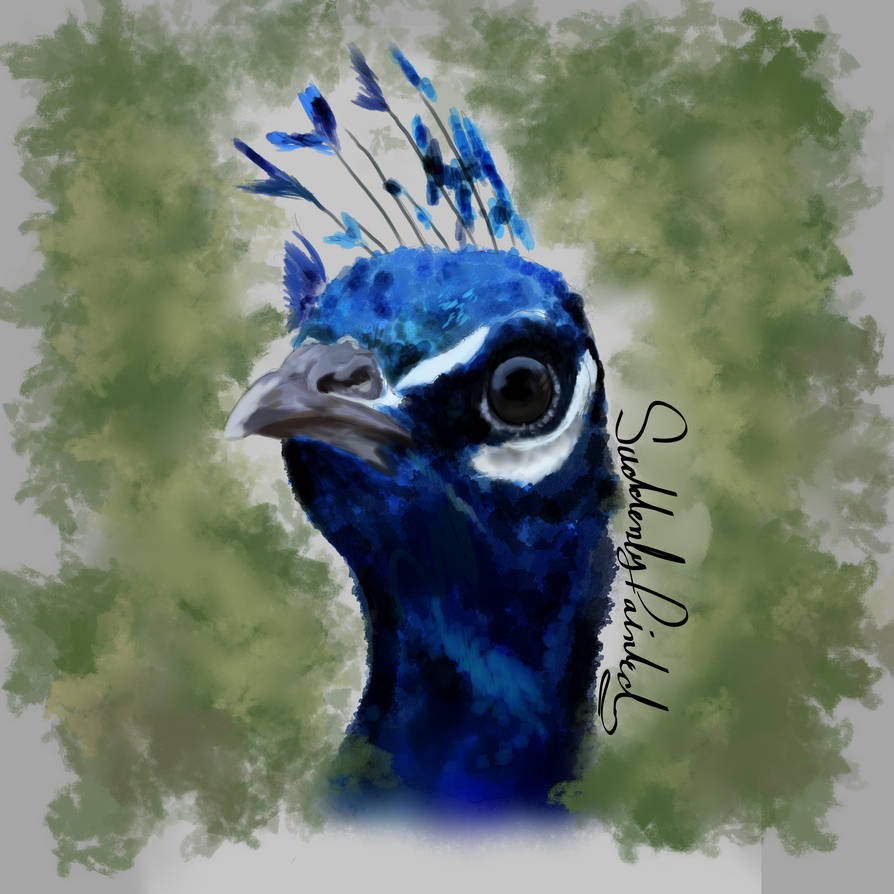 Pretty Boi By Vidramear On Deviantart