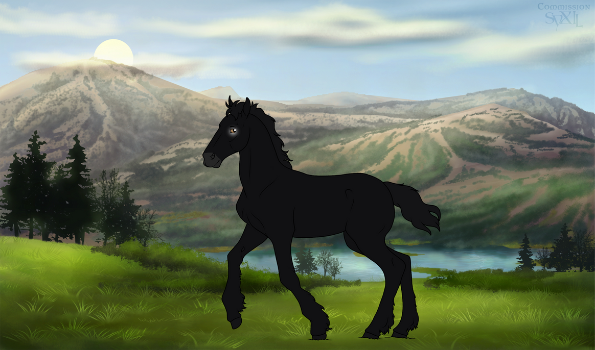 DiRPG Foal / Bellinor X Lo / Bishop by Divine-Admin on DeviantArt DiRPG Foal / Bellinor X Lo / Bishop by Divine-Admin on DeviantArt
