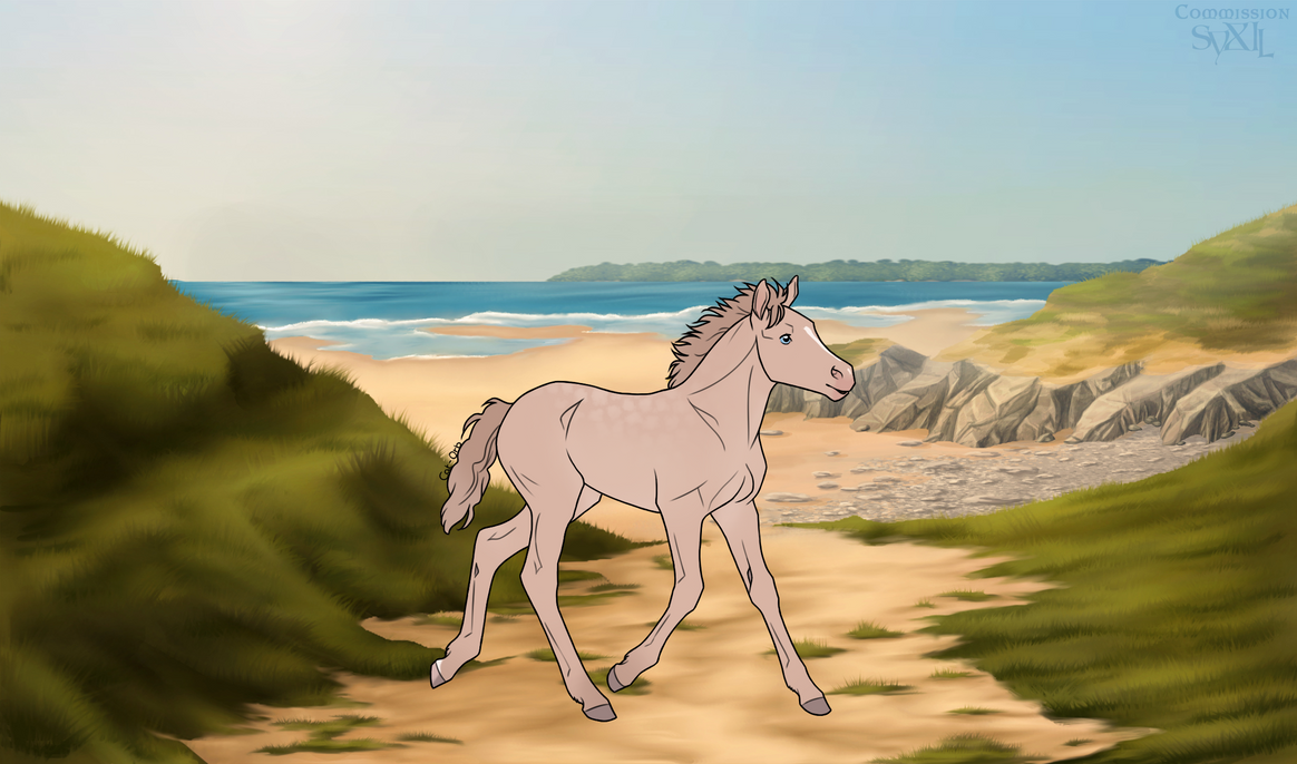 DiRPG Foal / Kiva X Corvo / Viajero by Divine-Admin on DeviantArt DiRPG Foal / Kiva X Corvo / Viajero by Divine-Admin on DeviantArt