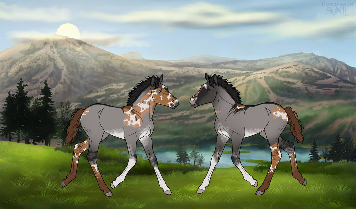 DIRPG Foal / Bente x Ghost / Sassa by Divine-Admin on DeviantArt DIRPG Foal / Bente x Ghost / Sassa by Divine-Admin on DeviantArt