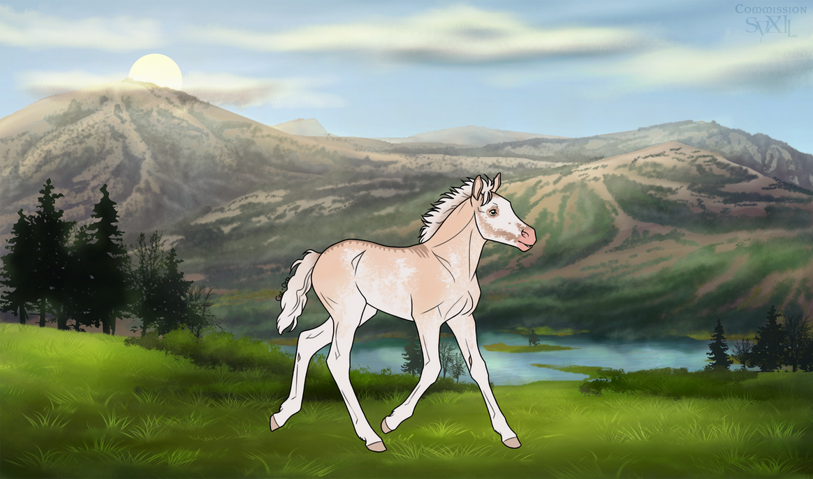DIRPG Foal / Medb x Java / Spectre by Divine-Admin on DeviantArt DIRPG Foal / Medb x Java / Spectre by Divine-Admin on DeviantArt