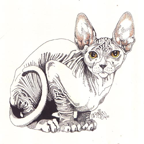 SPHINX CAT by CRYROLFE on DeviantArt
