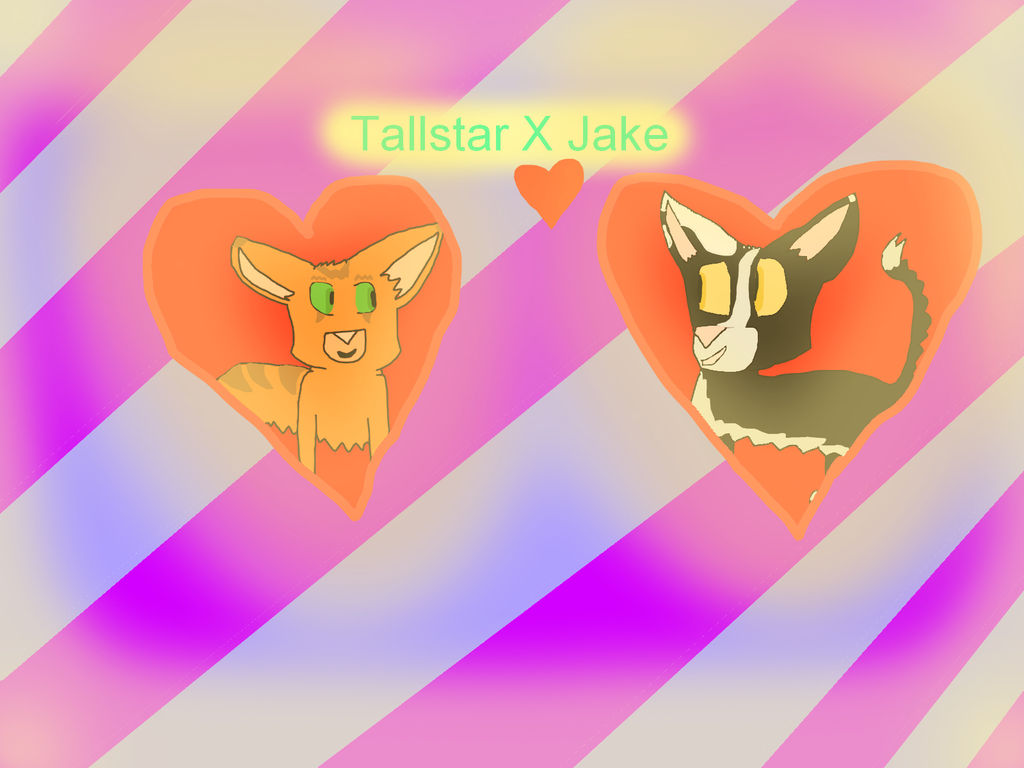 Talltailstar X Jake By Crazycatdisco On Deviantart