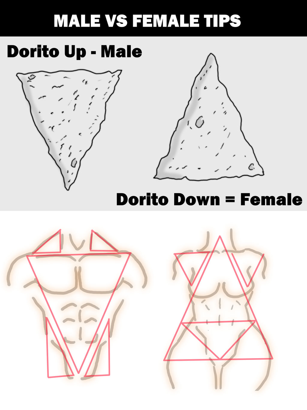 Male Vs Female Tips Update 4 17 22 By Walkjd1 On Deviantart