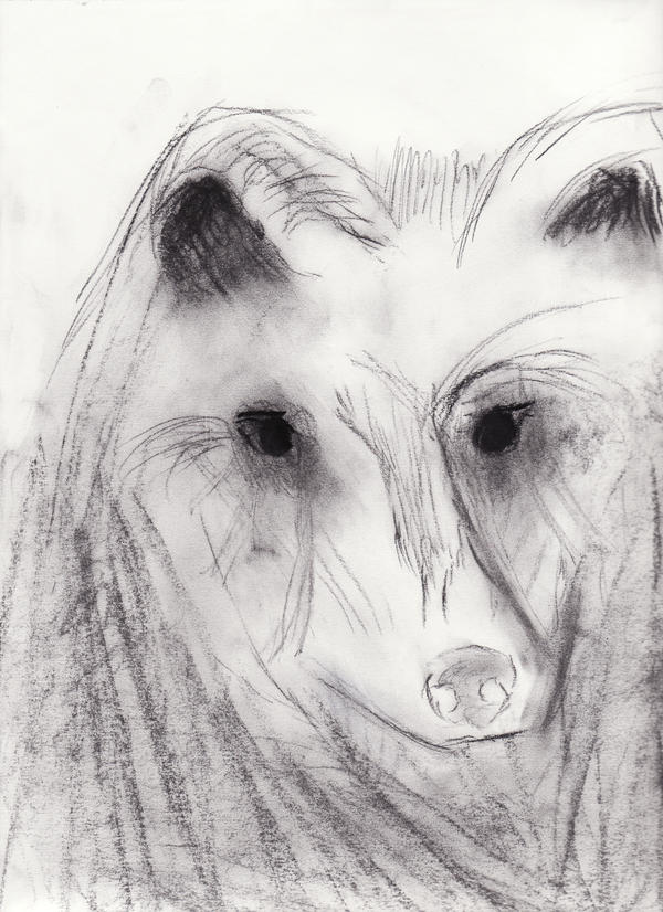 Wolf by twilightlover365 on DeviantArt Wolf by twilightlover365 on DeviantArt