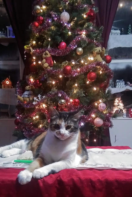Penny's 2022 Christmas Portrait by LaMoonstar on DeviantArt Penny's 2022 Christmas Portrait by LaMoonstar on DeviantArt