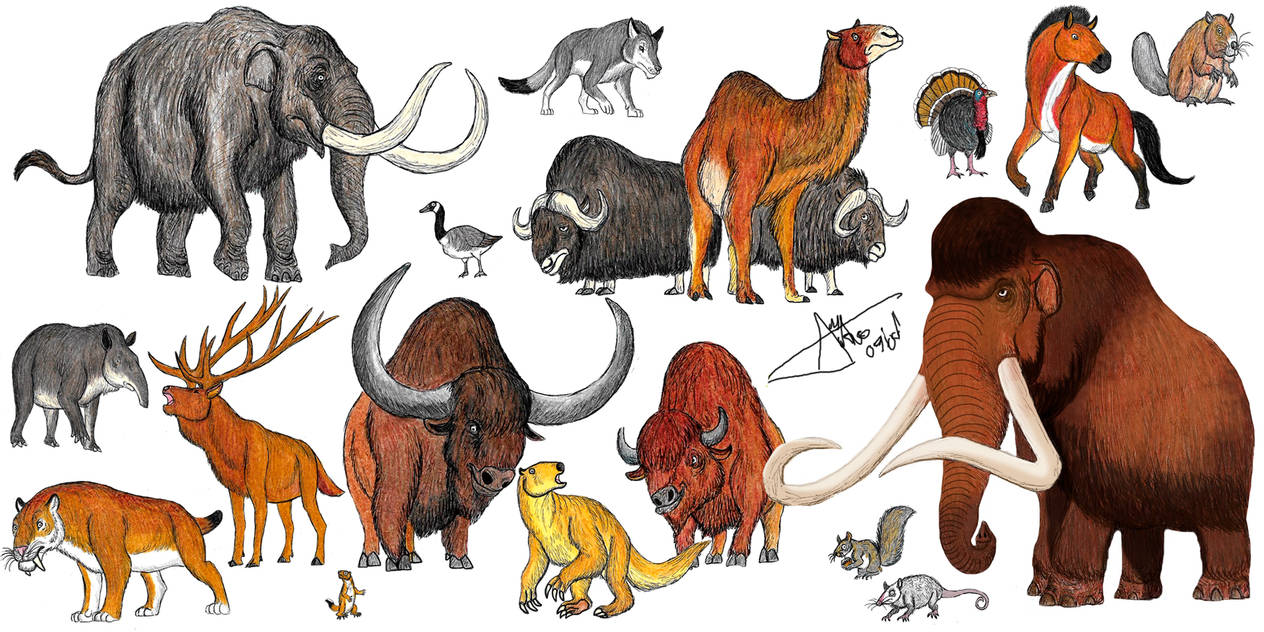 Ice age accurate by LADAlbarran2000 on DeviantArt Ice age accurate by LADAlbarran2000 on DeviantArt