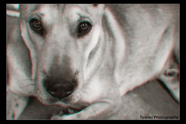 Rekz by Eyeris86 on DeviantArt