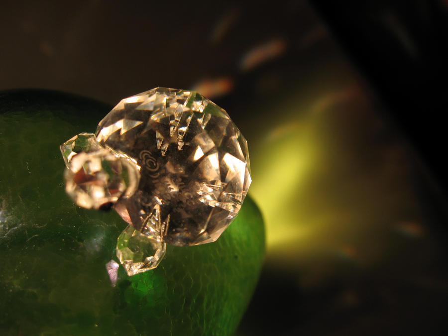 I Feel Like Turtle Tonight by bluetoon on DeviantArt