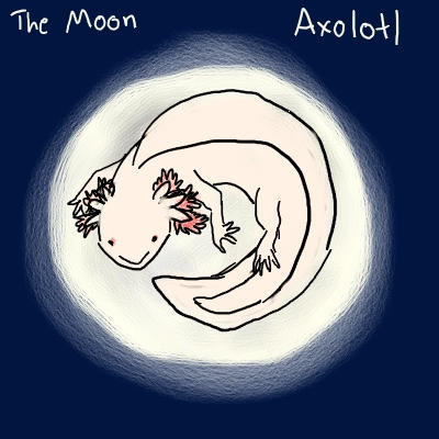 Axolotl in the Moon by illucian on DeviantArt