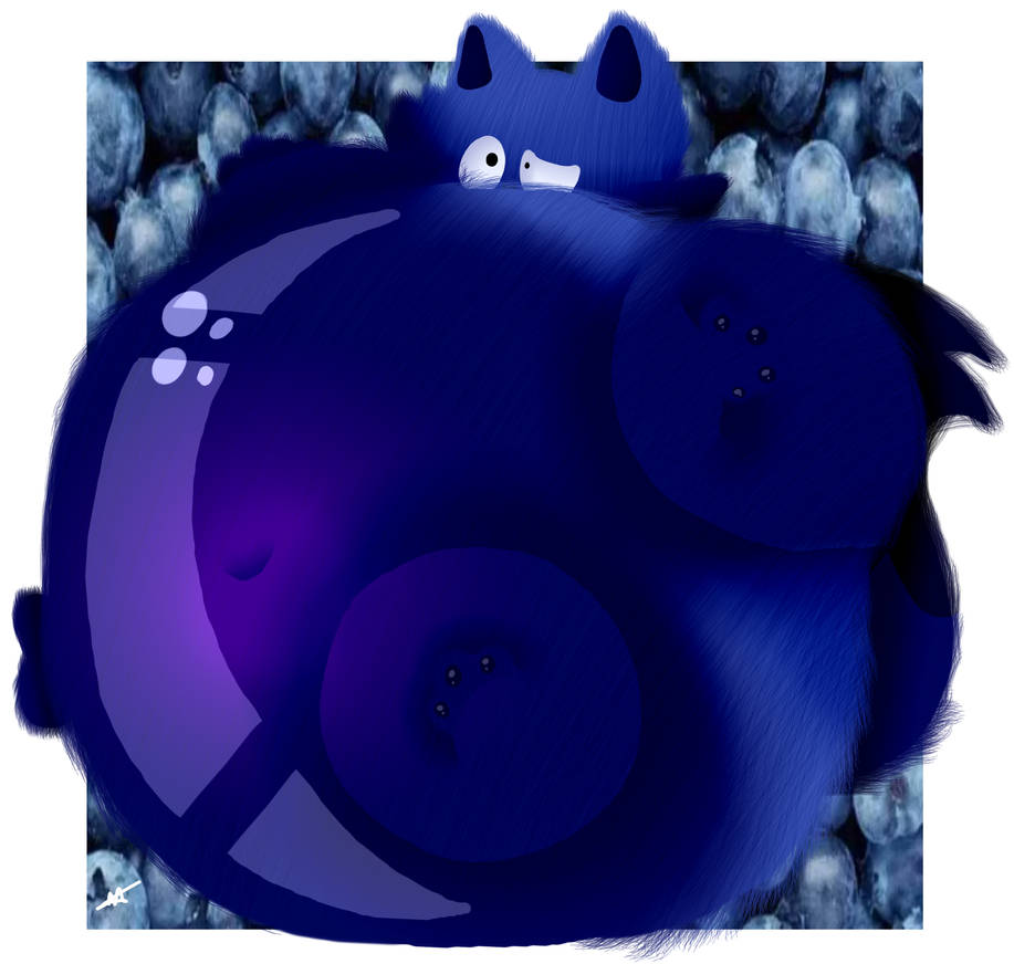 Cocoas Blueberry Inflation Commission By Chubby Dingo On Deviantart