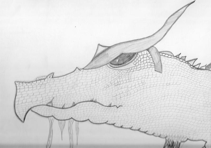patient dragon by vidaclover on DeviantArt