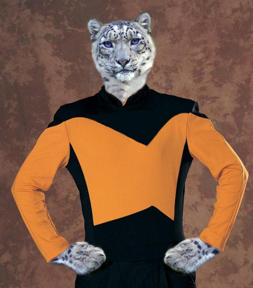 Star Trek Furry by Marupa on DeviantArt
