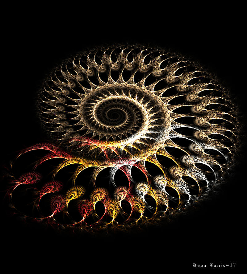 Shells by electricdawn on DeviantArt