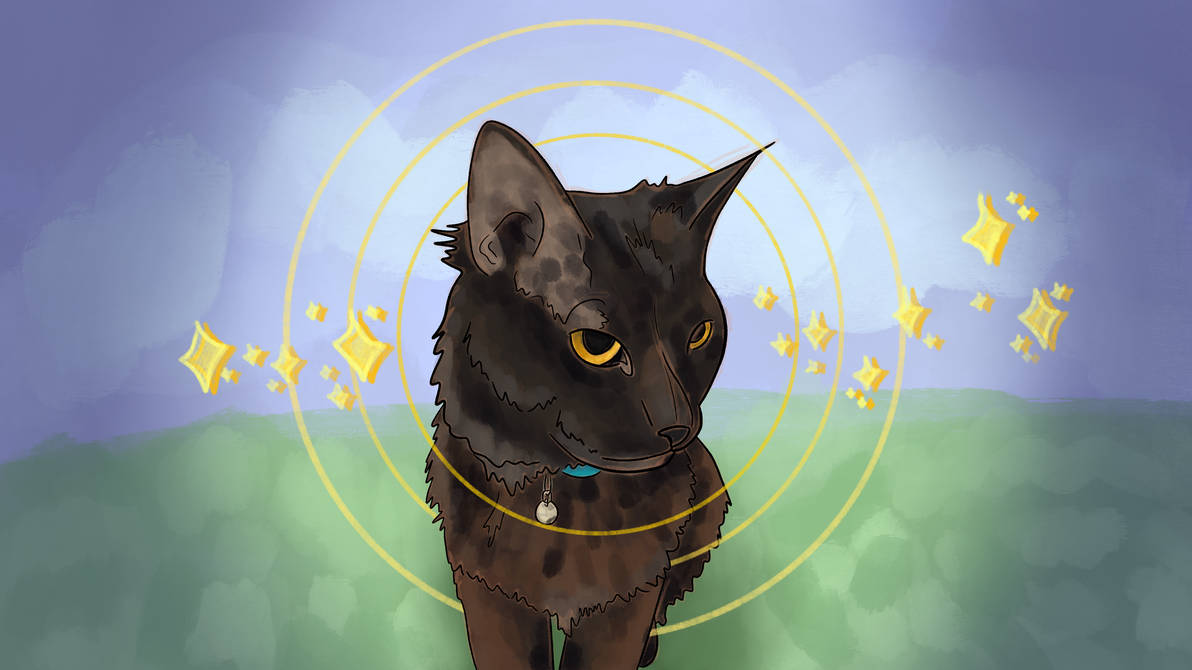 Jackie Cat by pytime on DeviantArt Jackie Cat by pytime on DeviantArt