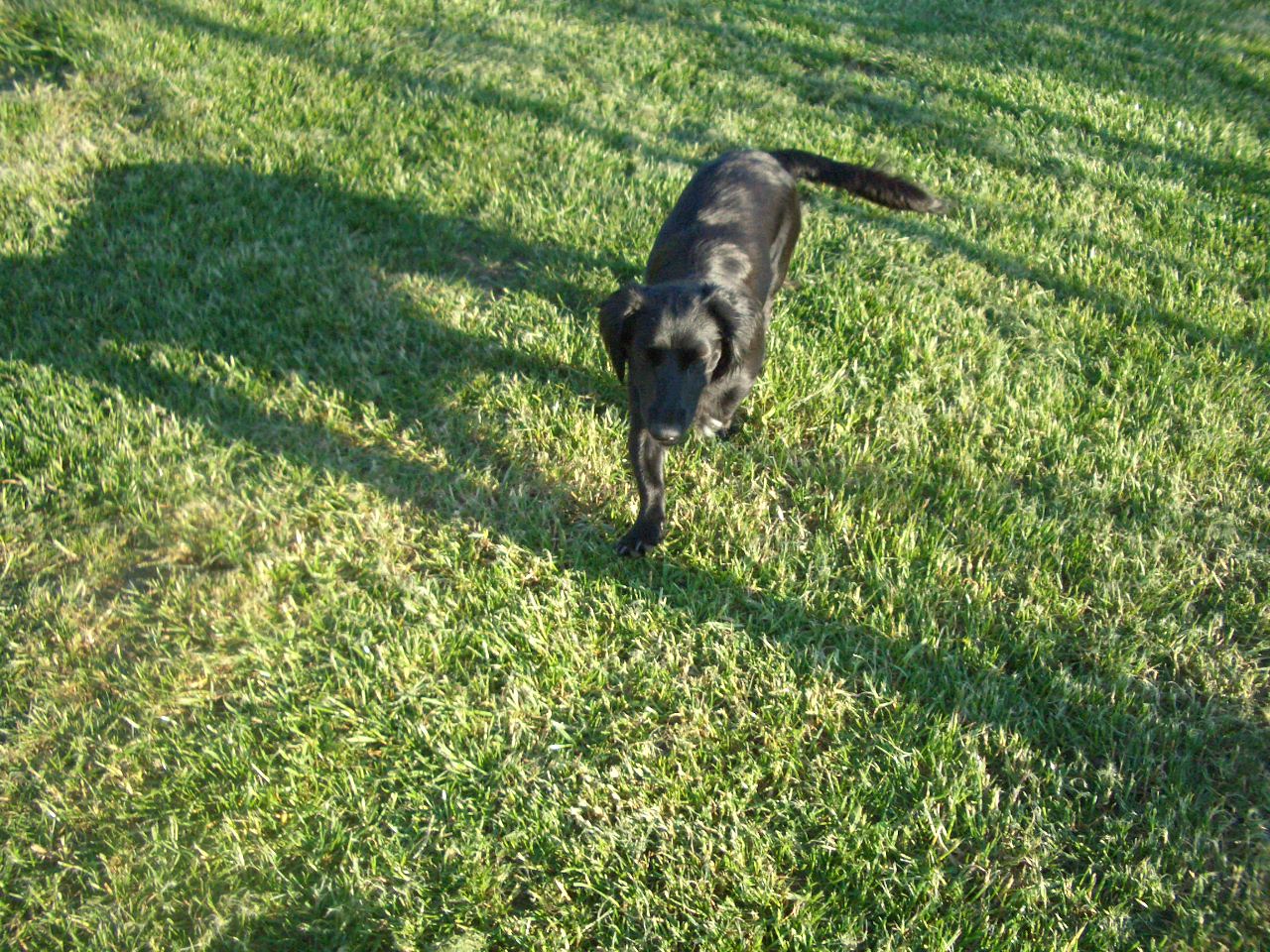 Susi 2 by cittycat on DeviantArt