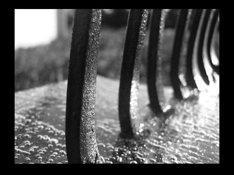 Ice on rake by Siriuscanis on DeviantArt