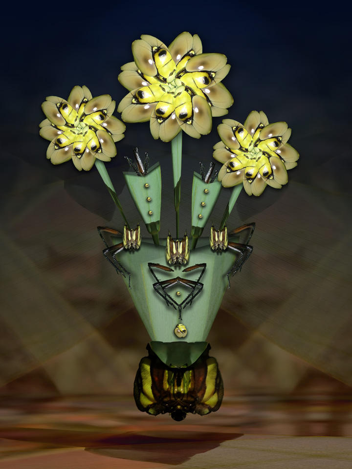 Floating Flowers by Luxwiz on DeviantArt