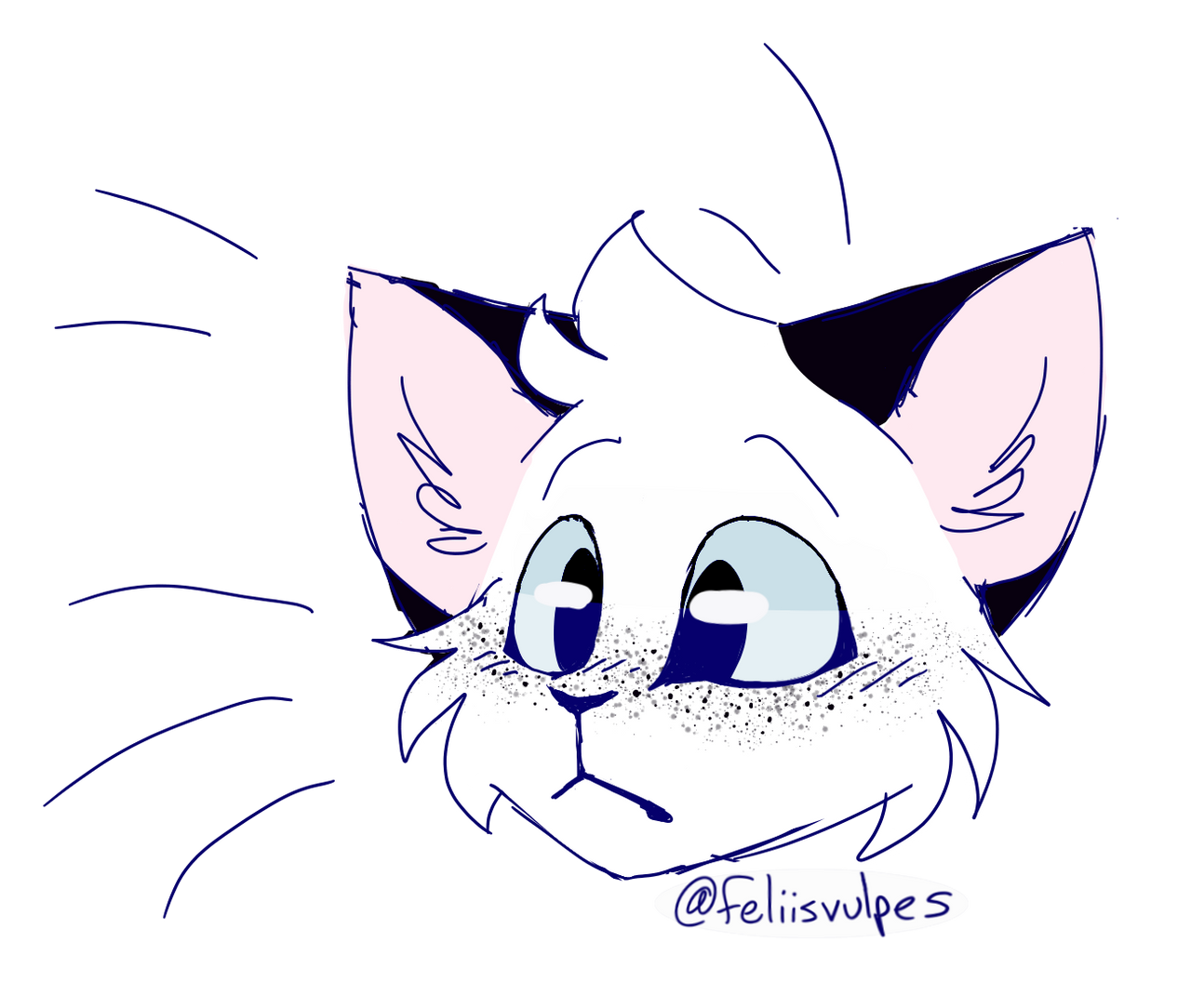 Precious Kitty By Feliisvulpes On Deviantart