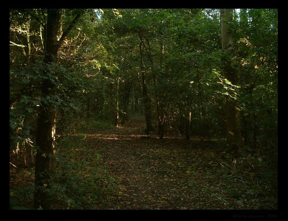 Path of Life by IsisTheMorbid on DeviantArt