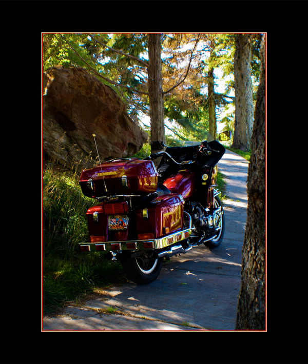 Pappis Goldwing 2 by xxodorFxx on DeviantArt