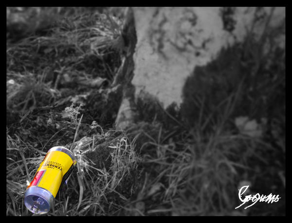 Rase Whats left of The Flag by Greg-McKinnon on DeviantArt