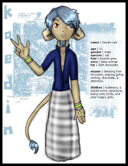 Kaedin Character Profile 2003 by melkyle on DeviantArt