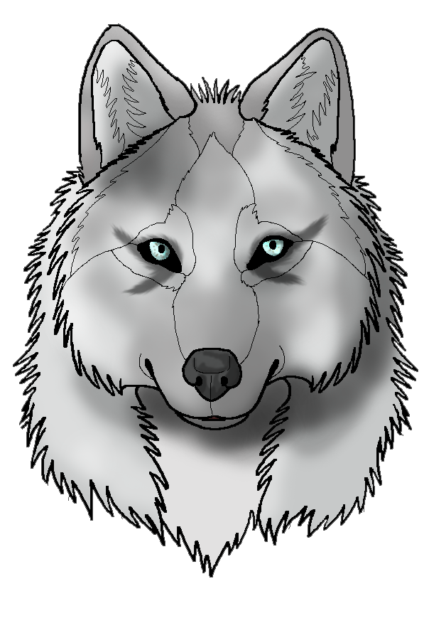 Dark Wolf Headshot By Xxdark Wolfxx On Deviantart