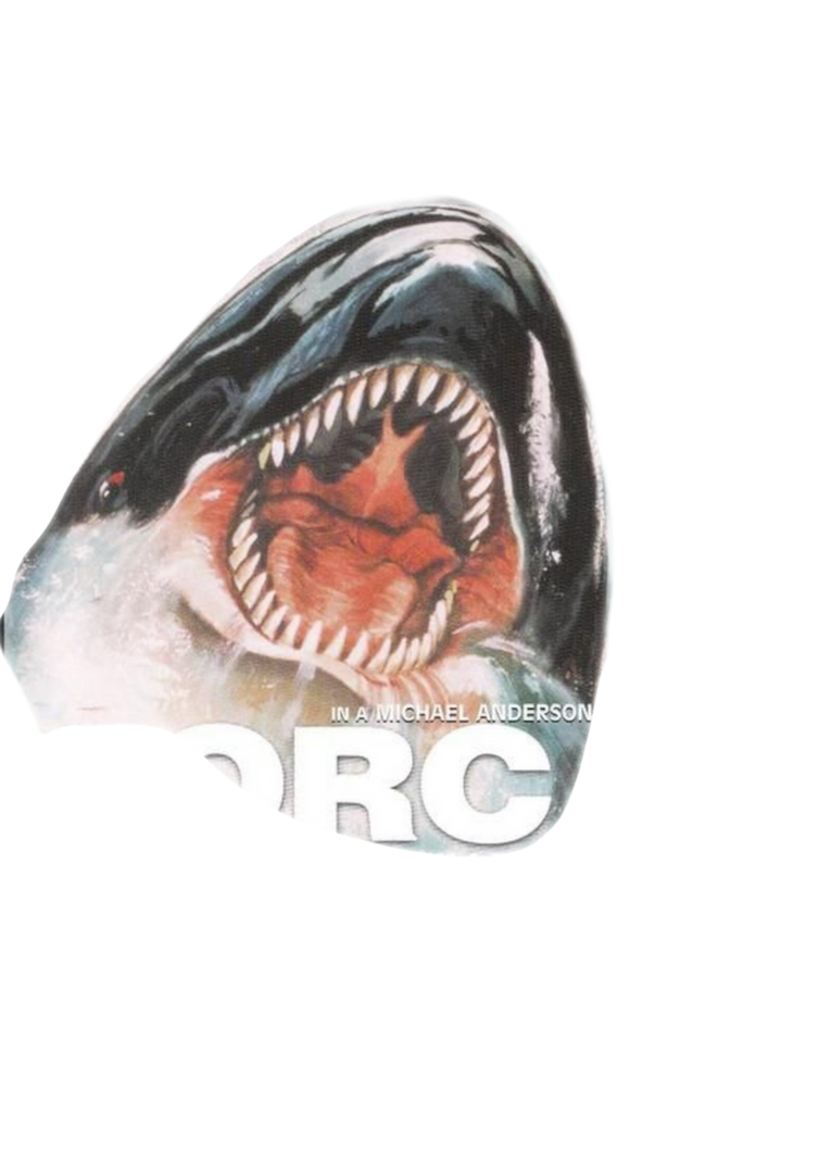 Orca The Killer Whale Render By Ssundpool On Deviantart