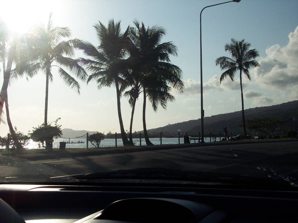 Windy Hawaii by GioJolie on DeviantArt