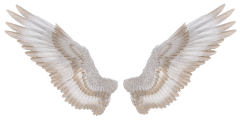 Explore the Best Wings Art | DeviantArt Explore the Best Wings Art | DeviantArt
