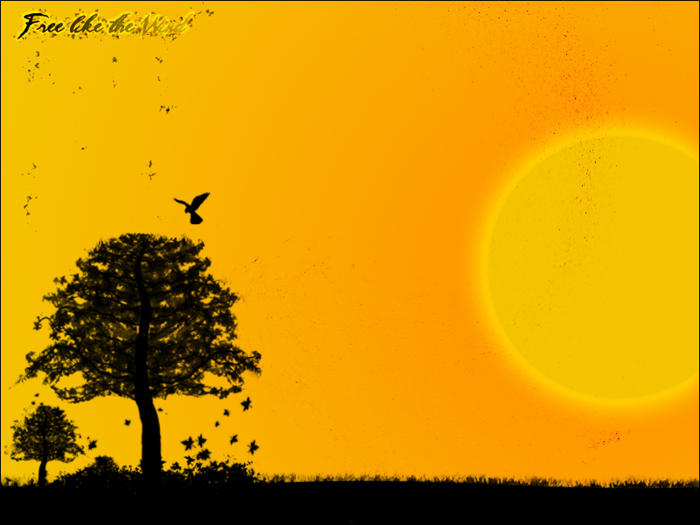 Free like the wind by Snakeyboy on DeviantArt
