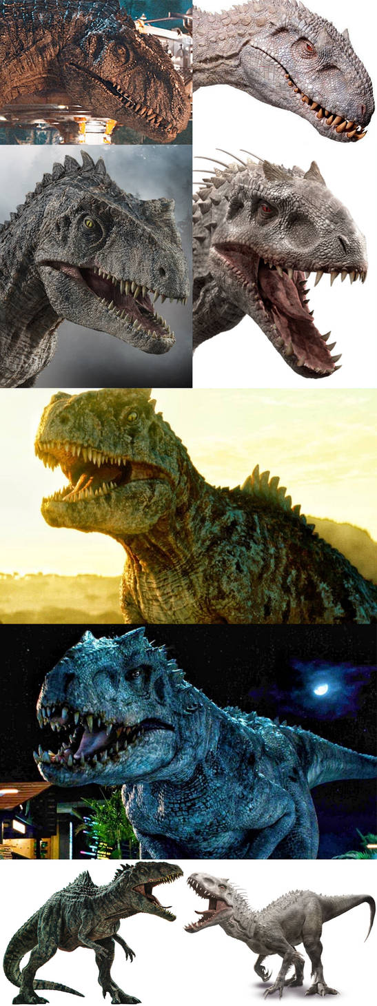 JWD GIganotosaurus and Indominus Rex Comparison by Goji1999 on DeviantArt JWD GIganotosaurus and Indominus Rex Comparison by Goji1999 on DeviantArt