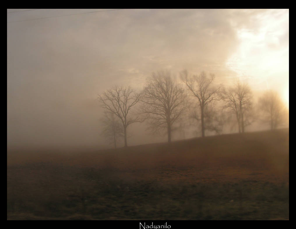 Five Witches by Nadyanilo on DeviantArt