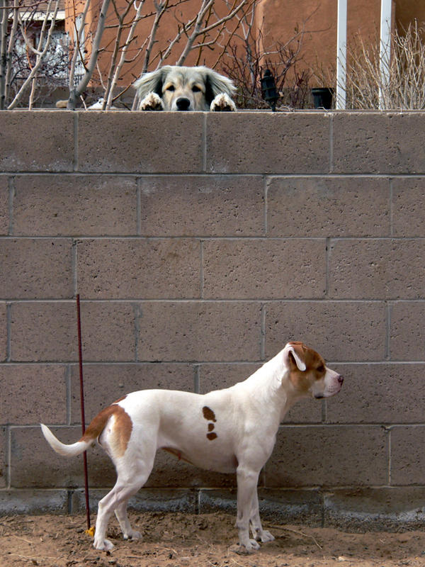 Caught Unaware by SimpleIntent on DeviantArt