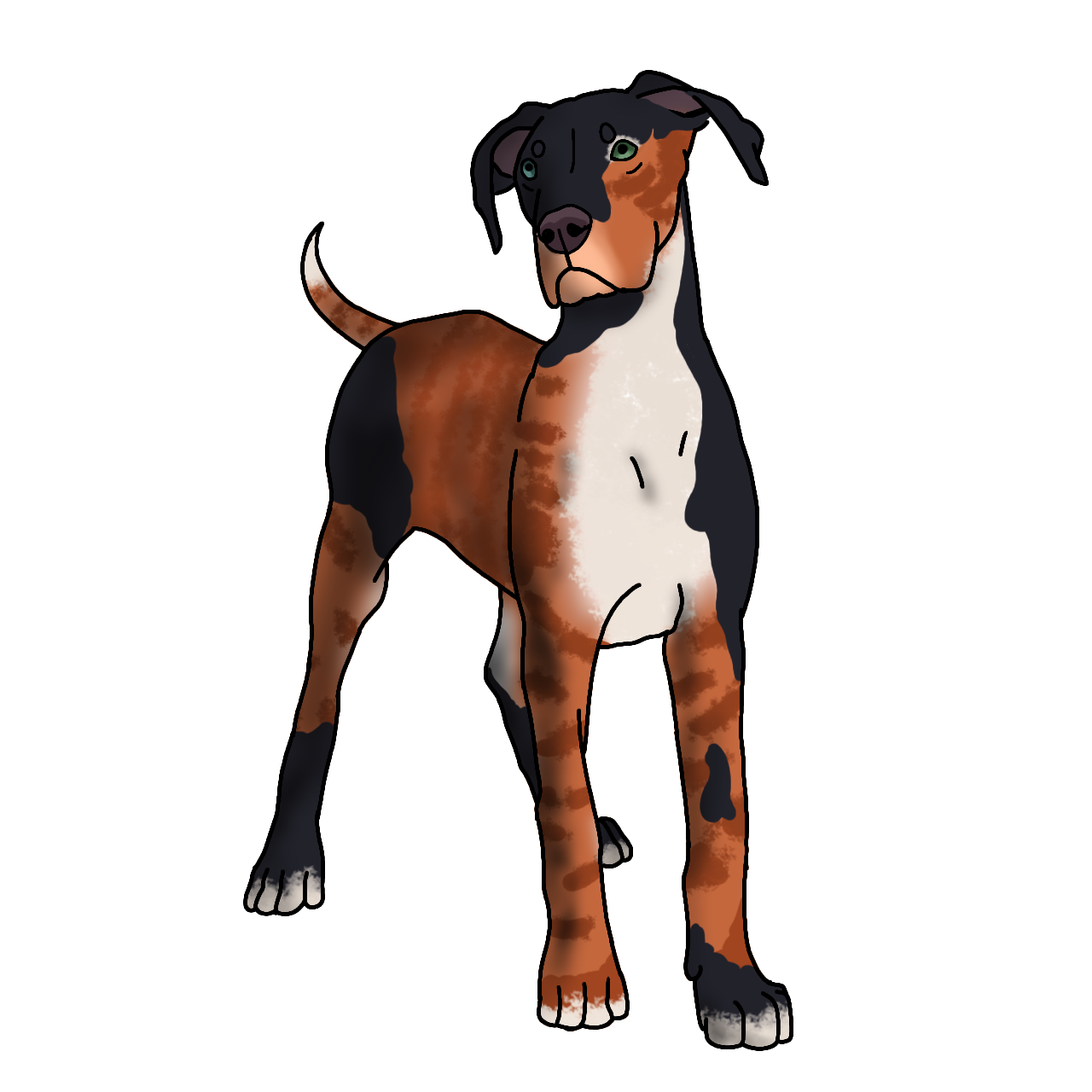 Samba The Great Dane By Gigglyninja On Deviantart