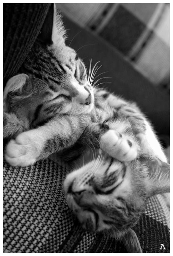 KeCHi by Picture-Maker on DeviantArt