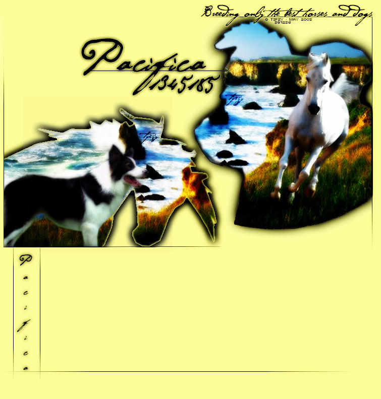 Pacifica Layout by tipzy on DeviantArt