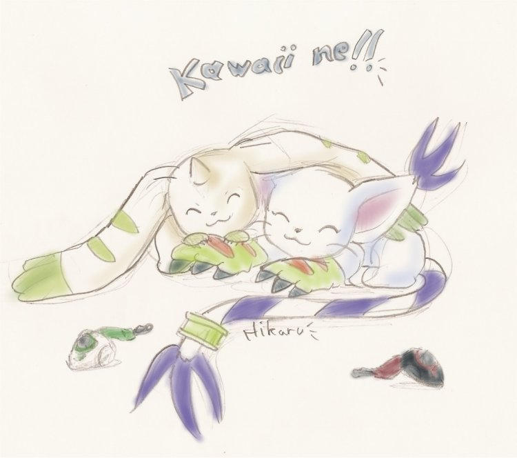 Terriermon and Tailmon by HikaruJen on DeviantArt