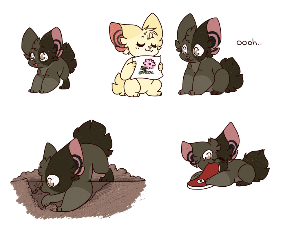 Sk Drawing Requirements By Taeqii On Deviantart