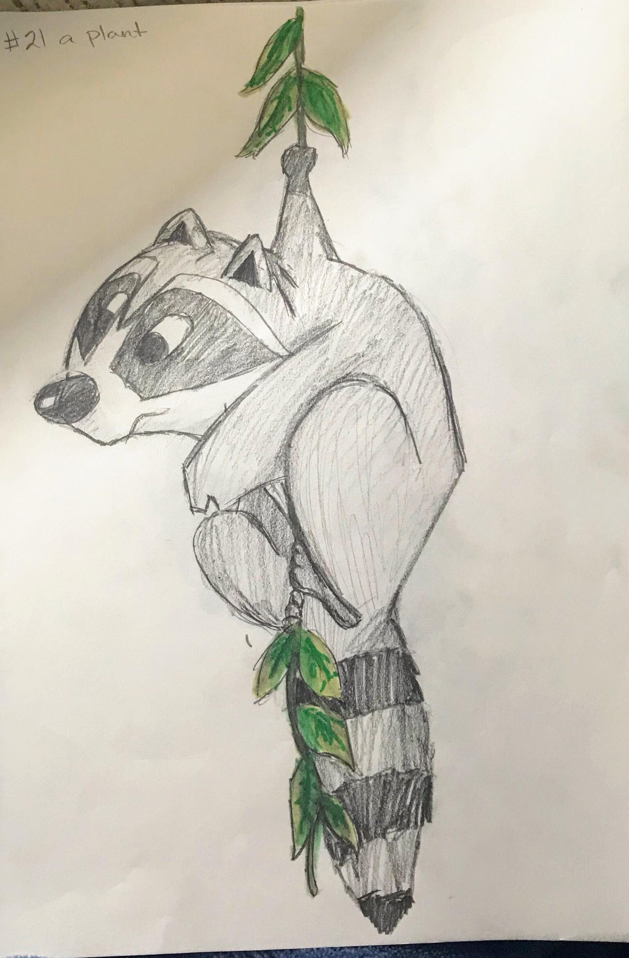 Meeko By Maknabu On Deviantart