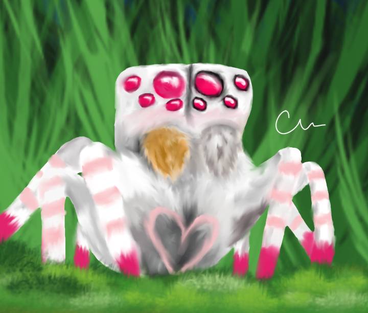 Angel Dust Spider By Feltsideinc On Deviantart
