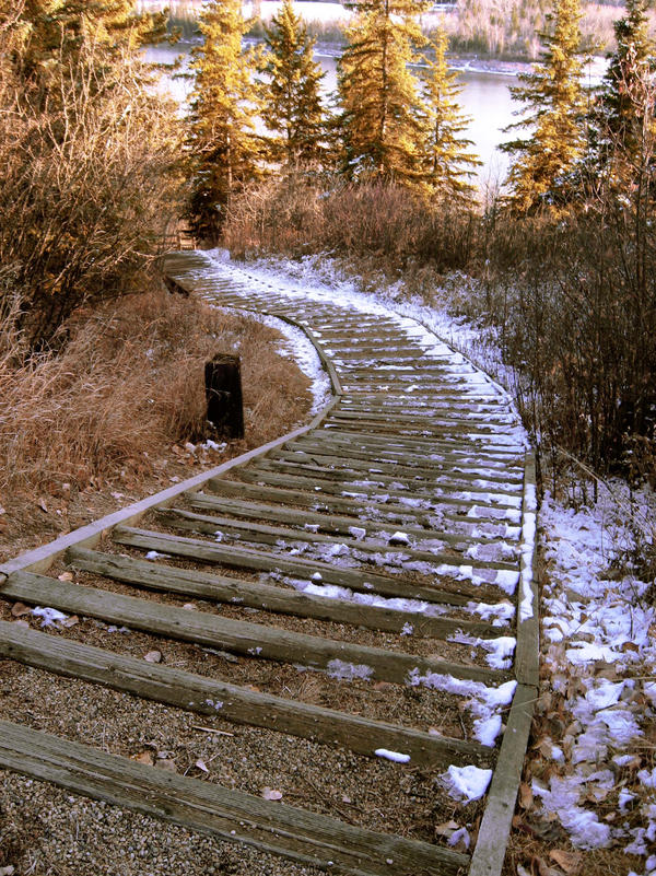 The Golden Path by Reflected-Shadows on DeviantArt