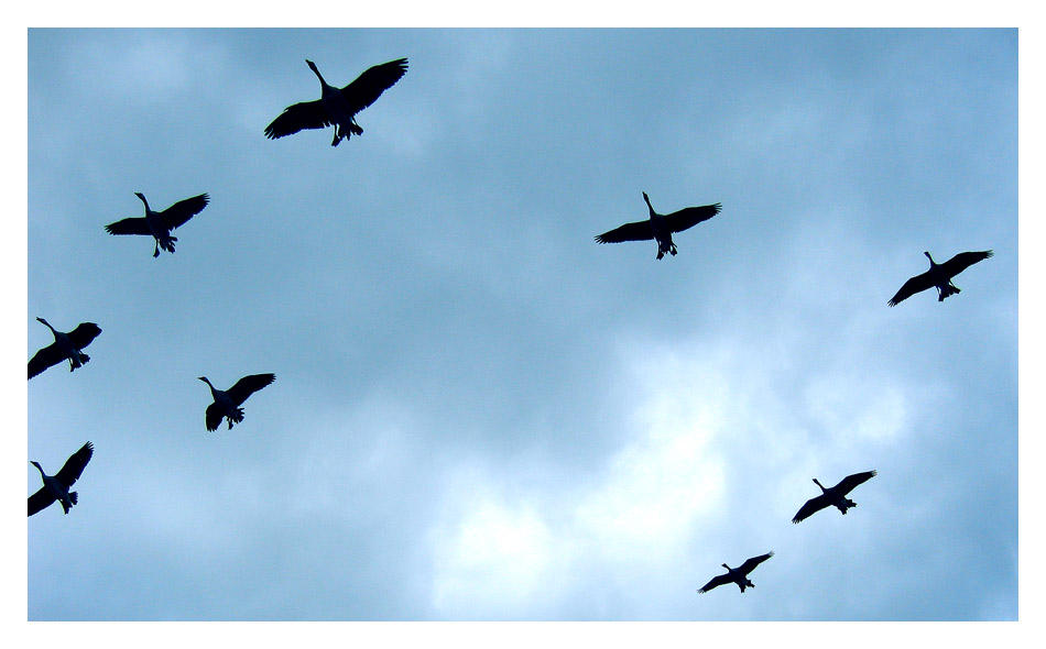 Whooosh by smashmethod on DeviantArt