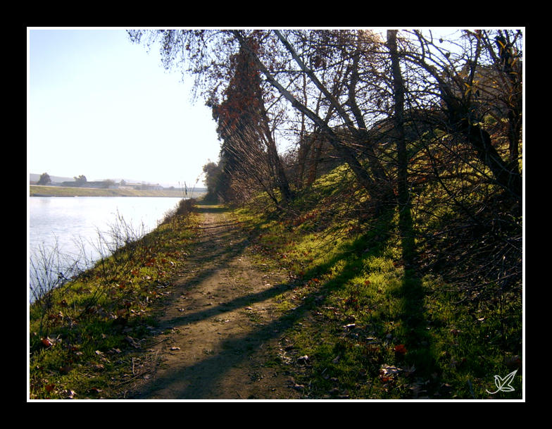 The path of Earth by SimetricForest on DeviantArt