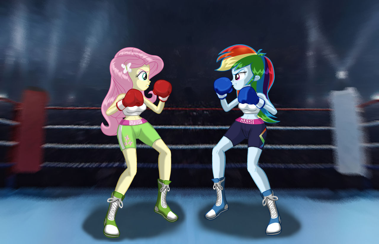 Fluttershy Vs Rainbow Dash Shaded Ver By Dbz619 On Deviantart