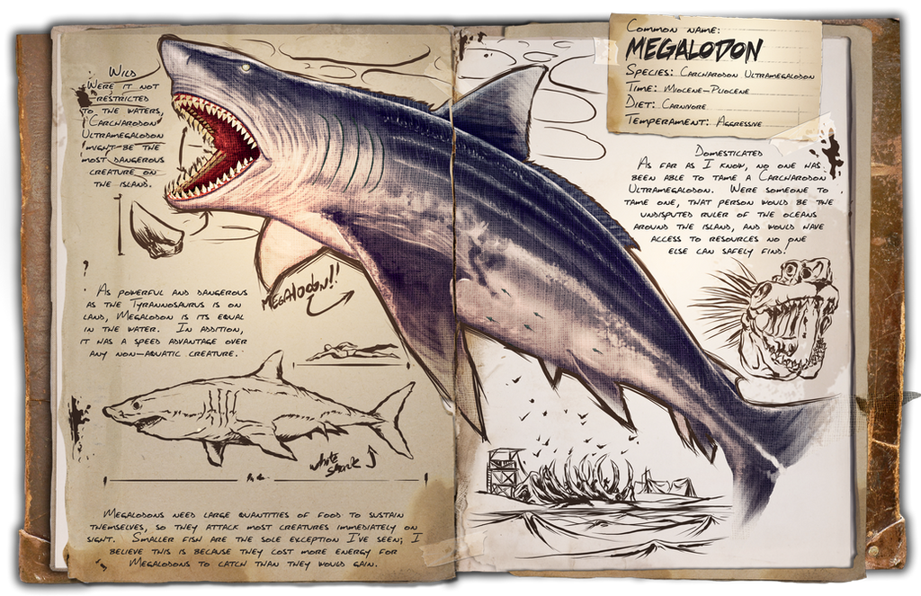 Ark Survival Evolved Dossiers Megalodon By Djdinojosh On Deviantart