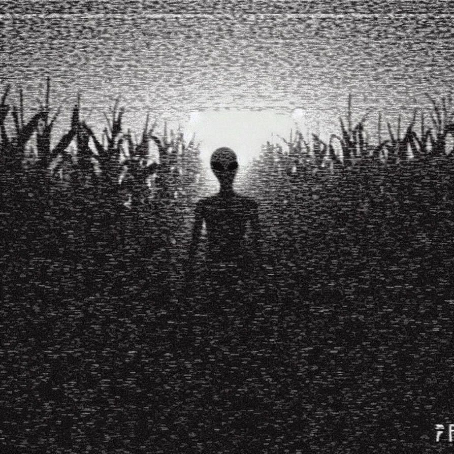 A shaky, grainy, low-resolution black and white st by JamesHosie1995 on ... A shaky, grainy, low-resolution black and white st by JamesHosie1995 on ...