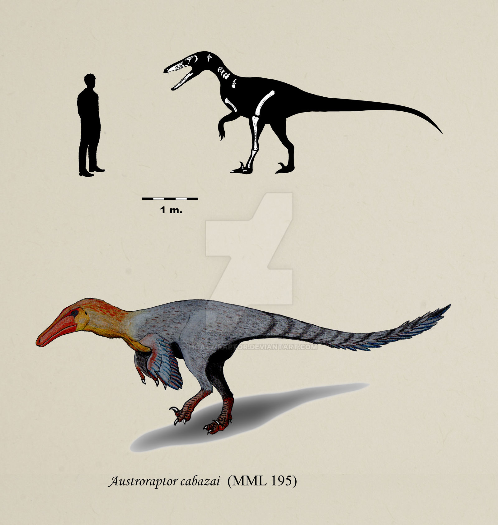 Austroraptor cabazai by Hoatziraptor on DeviantArt Austroraptor cabazai by Hoatziraptor on DeviantArt