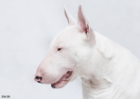 ManiaAdun | DeviantArt